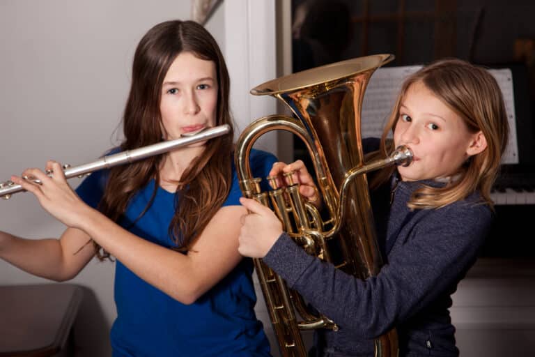 Euphonium Vs Baritone: Which Brass Instrument Reigns Supreme? | Ted's List