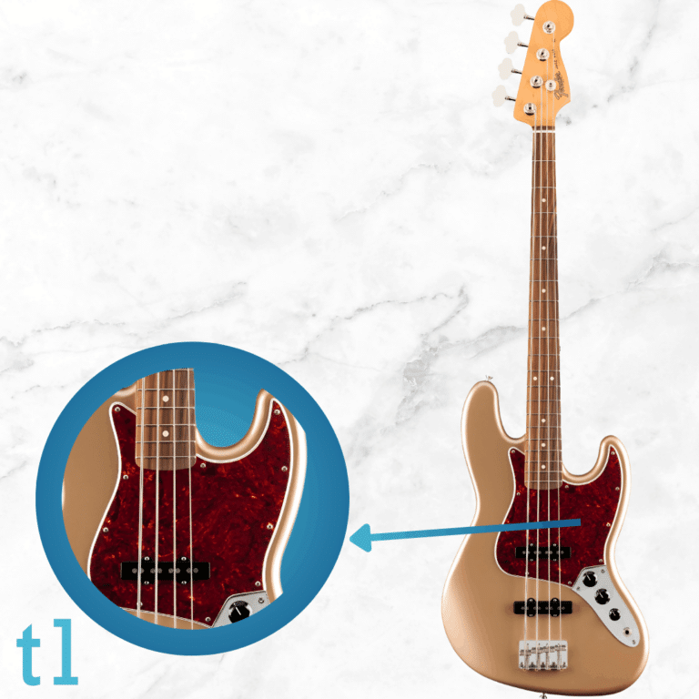 Parts Of The Bass Guitar: A Quick Guide To Your Groove Machine | Ted's List