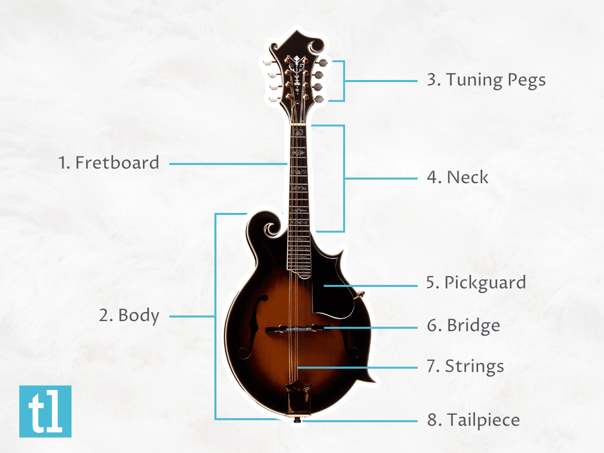 We Reveal The Best Beginner Mandolin (2025) | Ted's List