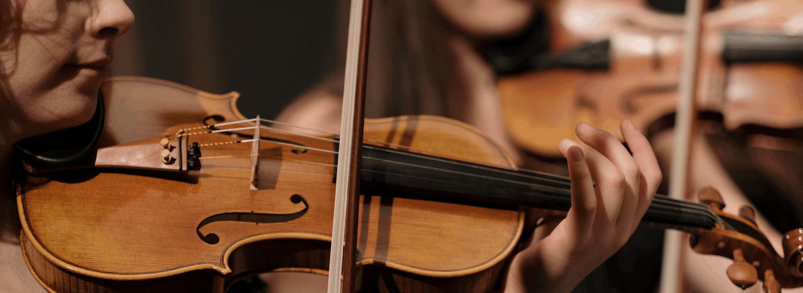 Violin Notes Chart: Your Essential Guide To Mastering The Fingerboard ...