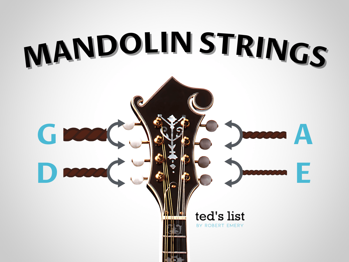 Mandolin String Notes: Mastering The Basics For Beginners | Ted's List