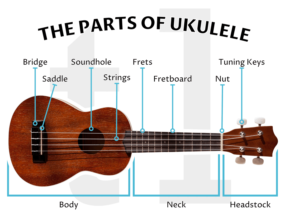 Ukulele Heaven: Discover The Best Ukulele On Amazon For Your Musical ...