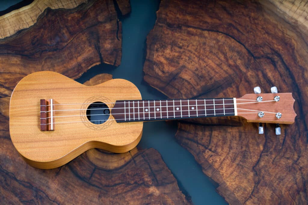 Soprano Ukulele Tuning - Our Specialist Guide | Ted's List