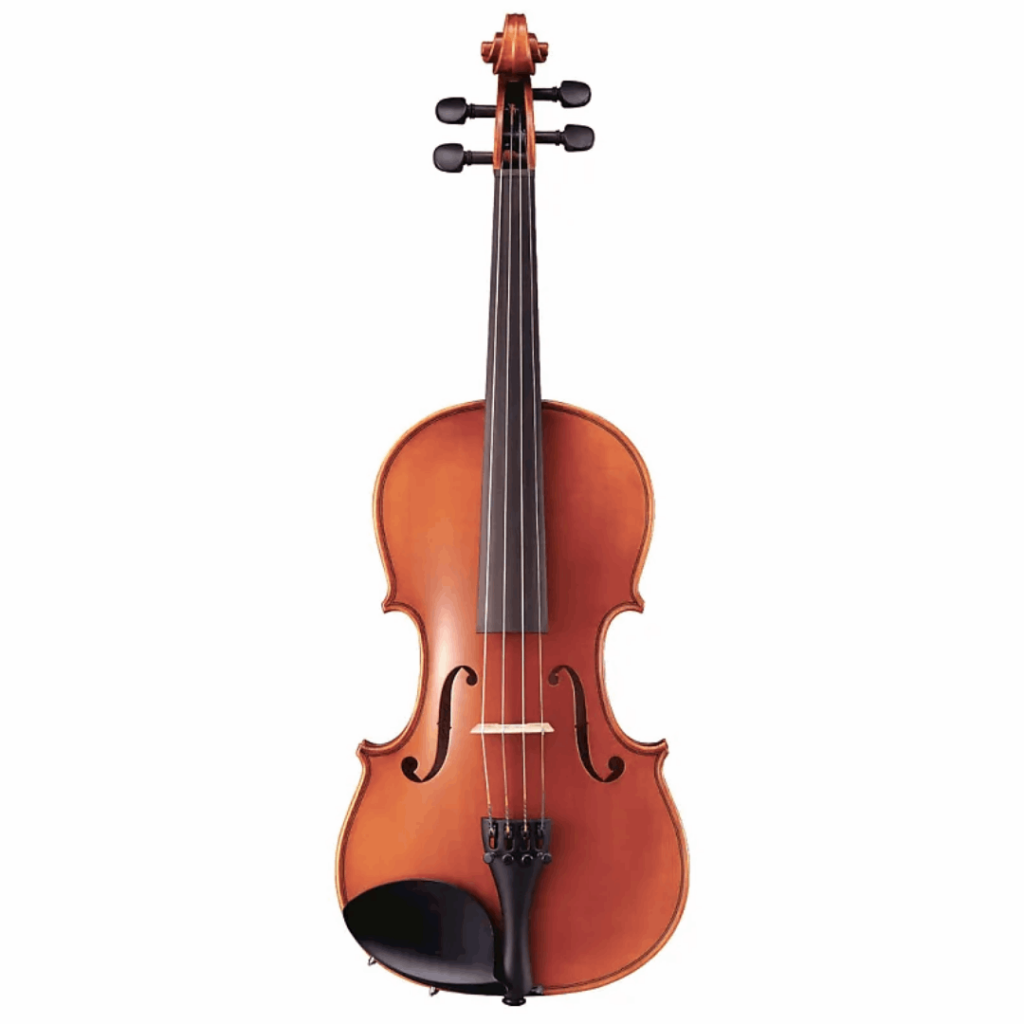 Who Invented The Violin? Unveiling The Genius | Ted's List