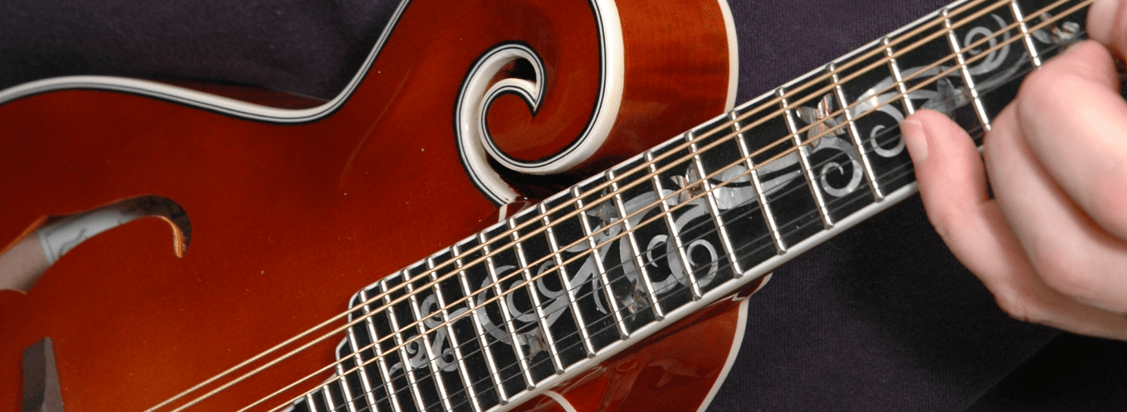 Mandolin String Notes: Mastering The Basics For Beginners | Ted's List