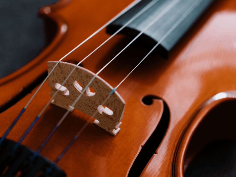 How Many Strings Does A Violin Have? | Ted's List