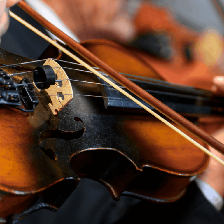 Plucking Strings On Violin: Mastering Pizzicato | Ted's List