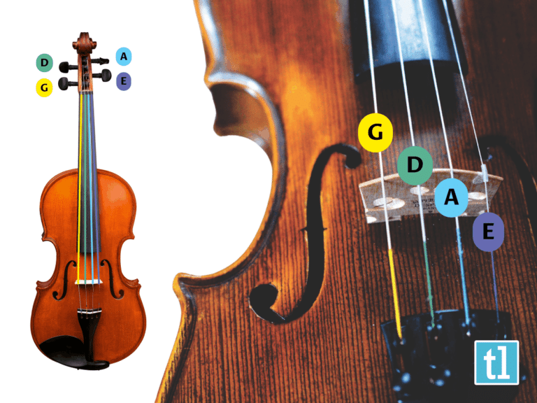 How Many Strings Does A Violin Have? | Ted's List