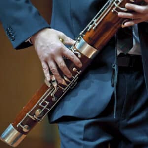 Low Pitched Instruments: The Giants Of The Musical World | Ted's List