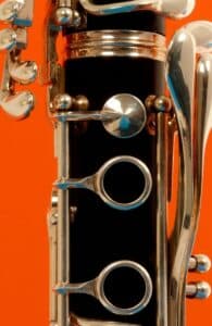 Clarinet Instrument Family: Everything You Need To Know | Ted's List