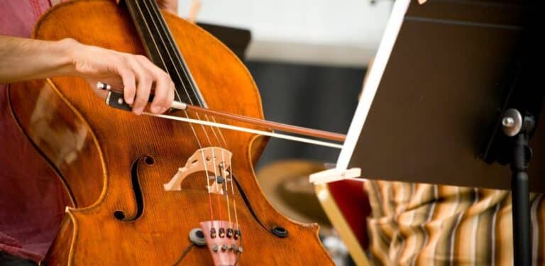 Cello String Notes: Mastering The Basics For Beginners | Ted's List