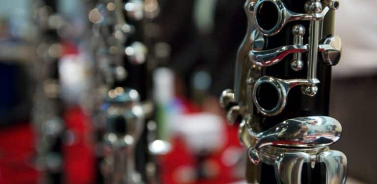Clarinet Instrument Family: Everything You Need To Know | Ted's List