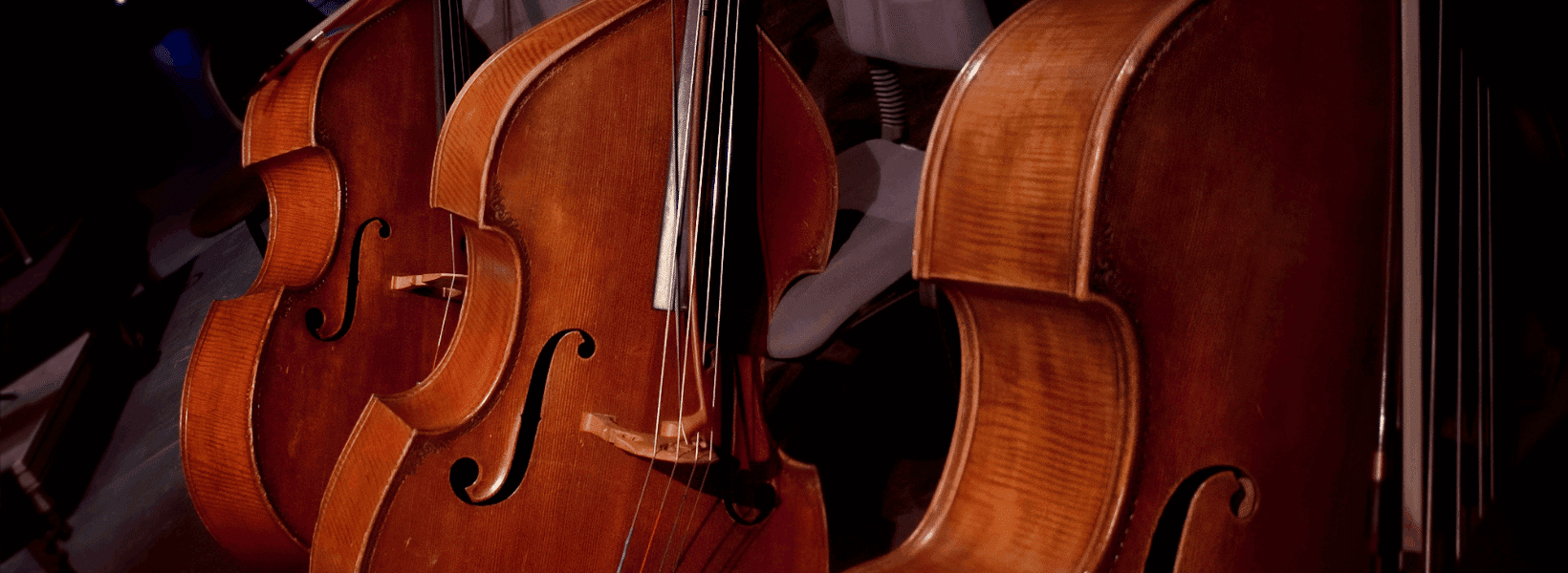 Bass Vs Double Bass - The Battle Of The Lower End! | Ted's List