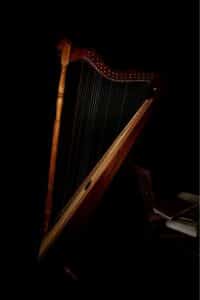 We Explain The Different Types Of Harps | Ted's List