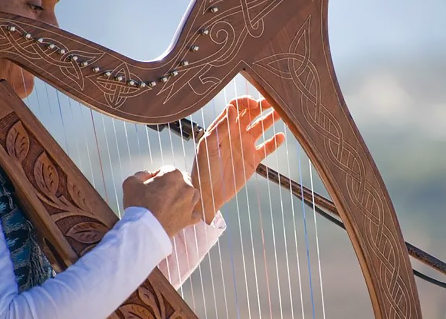 Low Pitched Instruments: The Giants Of The Musical World | Ted's List