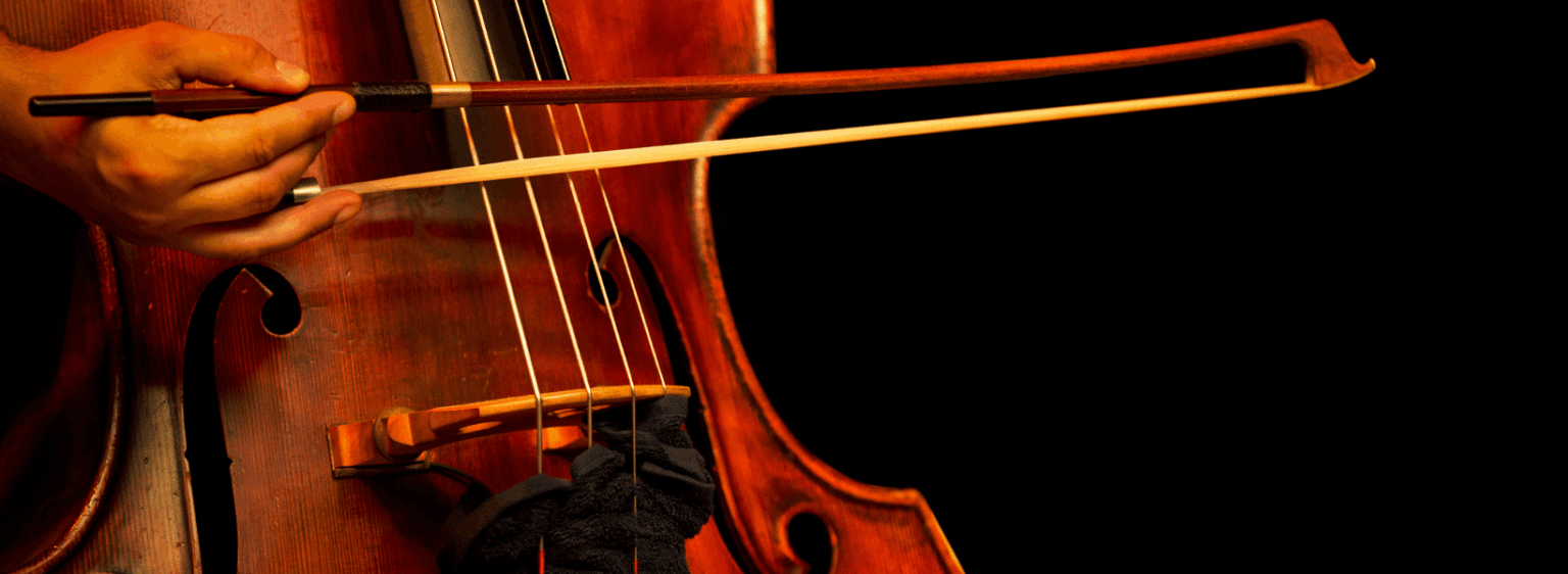 Bass Vs Double Bass - The Battle Of The Lower End! | Ted's List