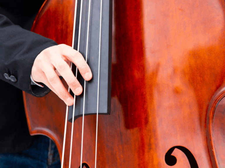 Bass Vs Double Bass - The Battle Of The Lower End! | Ted's List