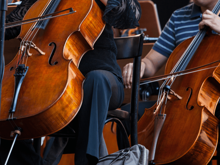Bass Vs Double Bass - The Battle Of The Lower End! | Ted's List