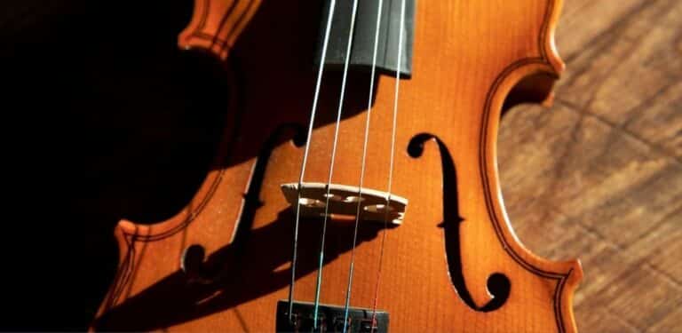 What Is The Lowest Note On A Violin? | Ted's List