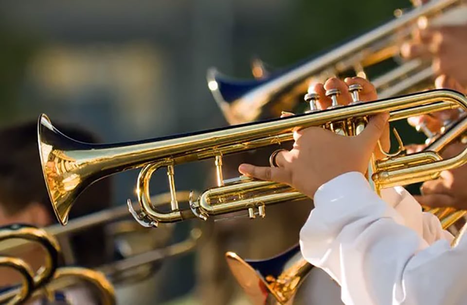 Low Pitched Instruments: The Giants Of The Musical World | Ted's List