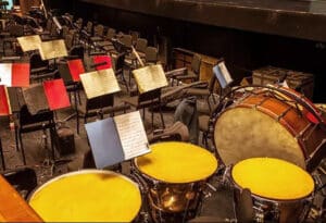 Low Pitched Instruments: The Giants Of The Musical World | Ted's List