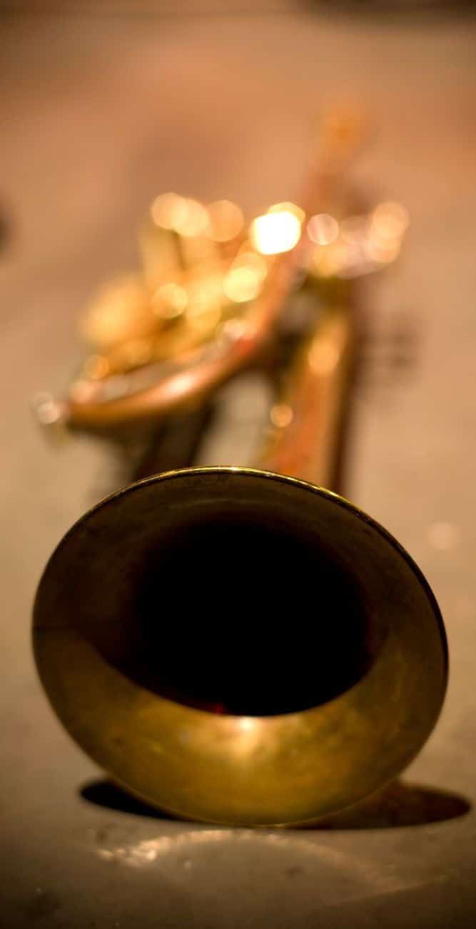 Flugelhorn Vs Trumpet: Understanding The Key Differences | Ted's List
