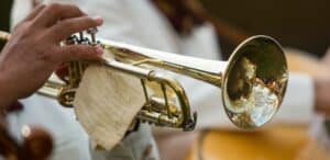What Type Of Trumpet Should A Beginner Start With? A Guide To Your ...