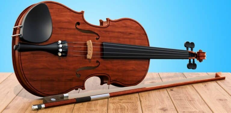 Discover The Different Types Of Cello Bows | Ted's List