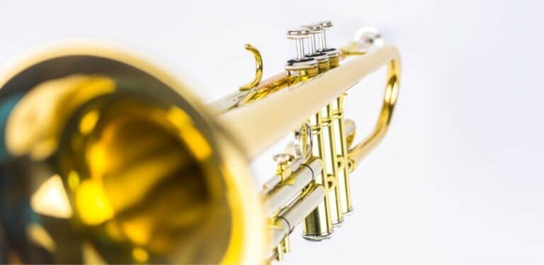 What Type Of Trumpet Should A Beginner Start With? A Guide To Your ...