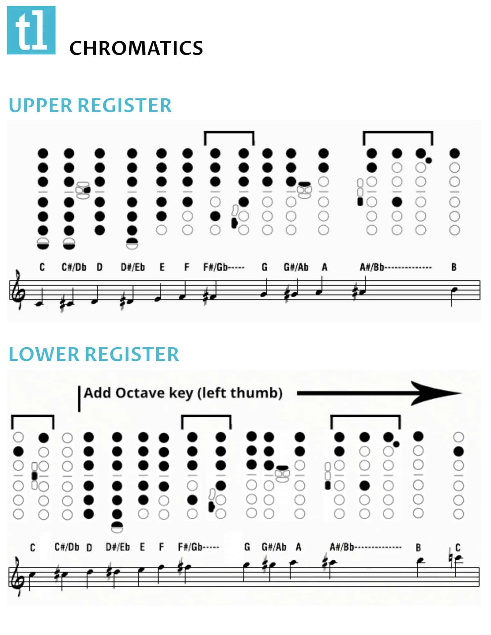 The Complete Alto Sax Fingering Chart | Ted's List