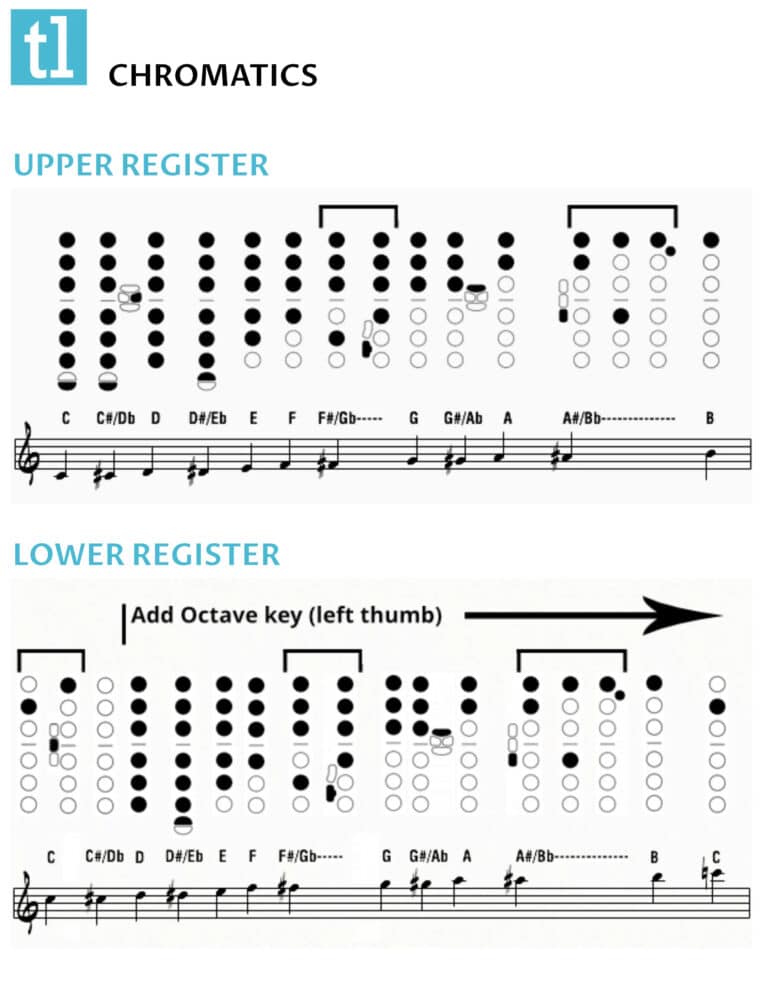 The Complete Alto Sax Fingering Chart | Ted's List
