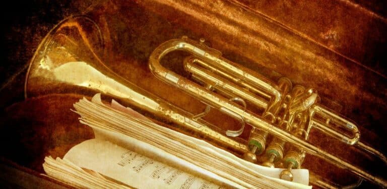 What Type Of Trumpet Should A Beginner Start With? A Guide To Your ...