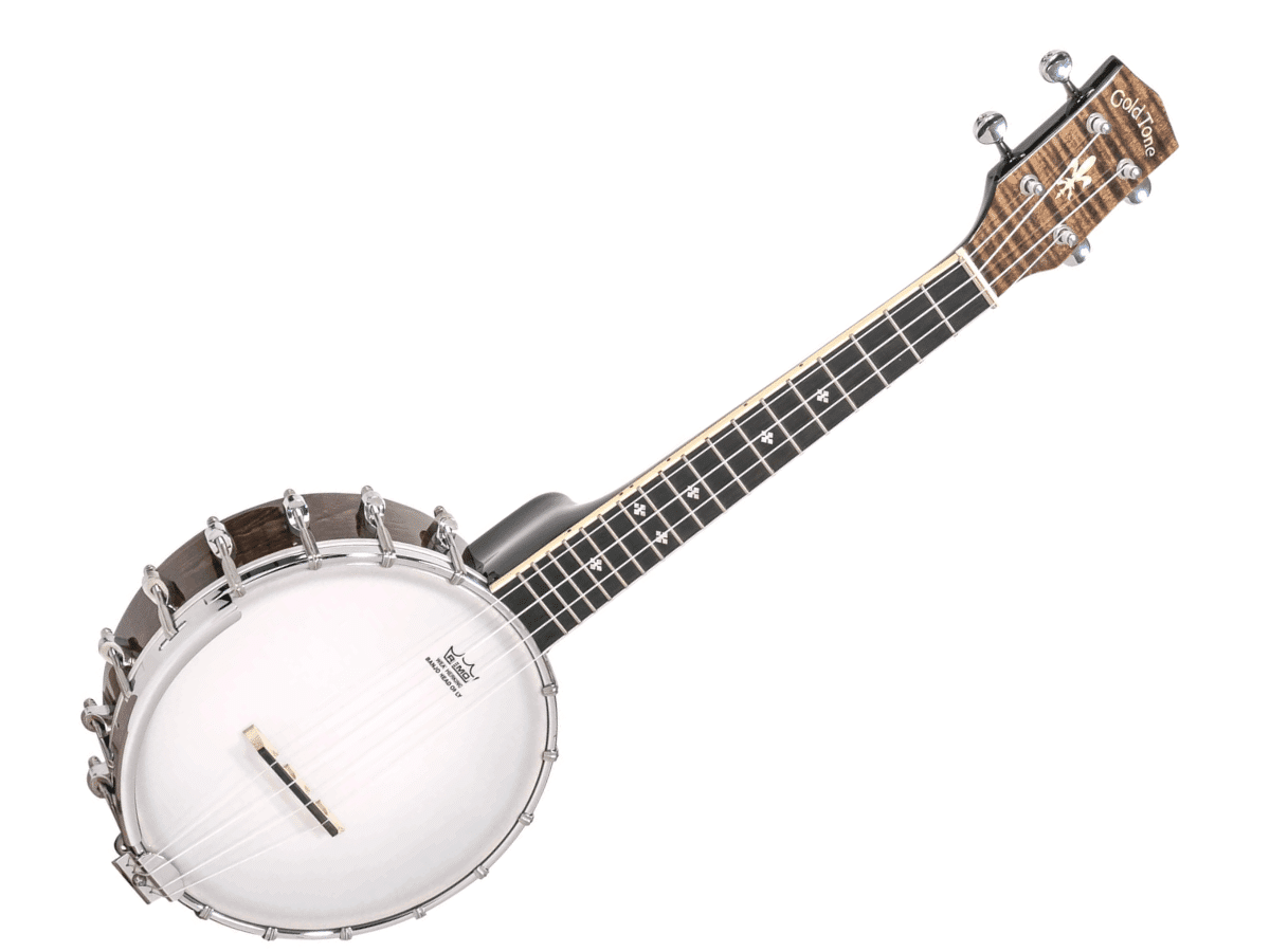 Best Brand Of Banjo: Your Ultimate Guide To Top Picks For 2025! | Ted's ...