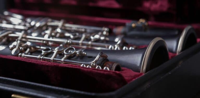 Clarinet Instrument Family: Everything You Need To Know | Ted's List