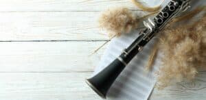 Clarinet Reed Sizes - A Complete Guide | Ted's List