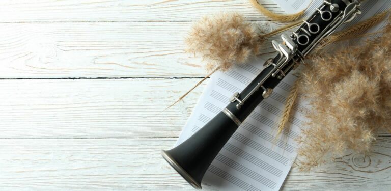 Clarinet Reed Sizes - A Complete Guide | Ted's List