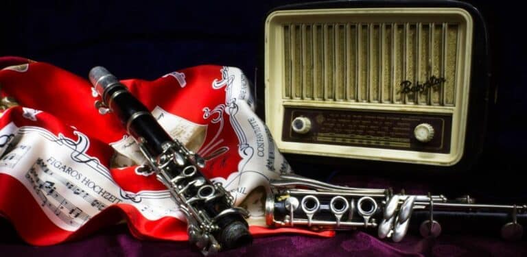 Clarinet Instrument Family: Everything You Need To Know | Ted's List