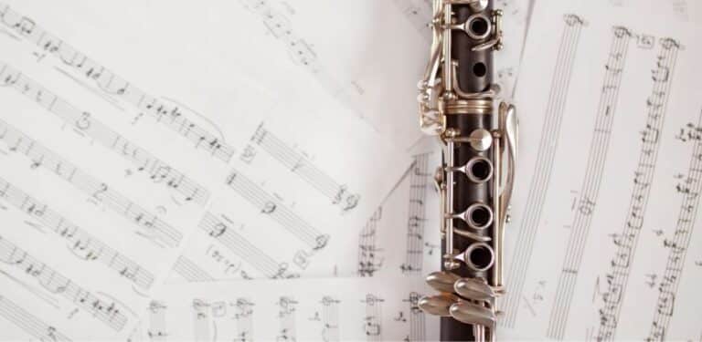 How To Clean A Clarinet In 6 Easy Steps | Ted's List