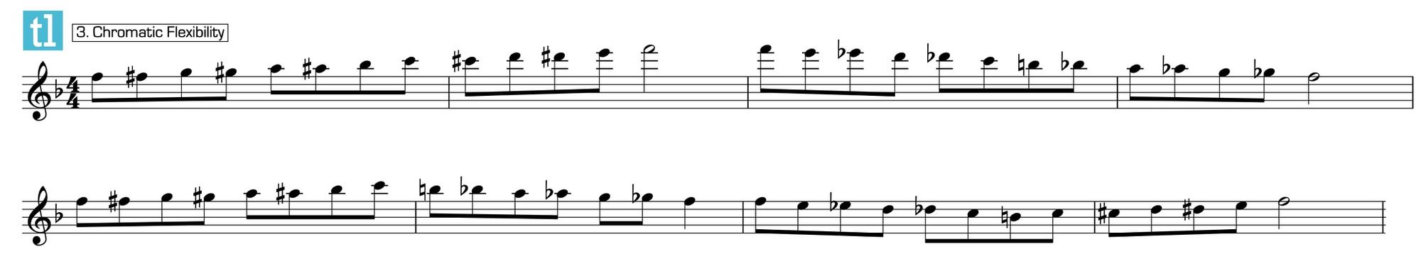 Flute Warm Ups: Elevate Your Performance With These Melodic Exercises ...