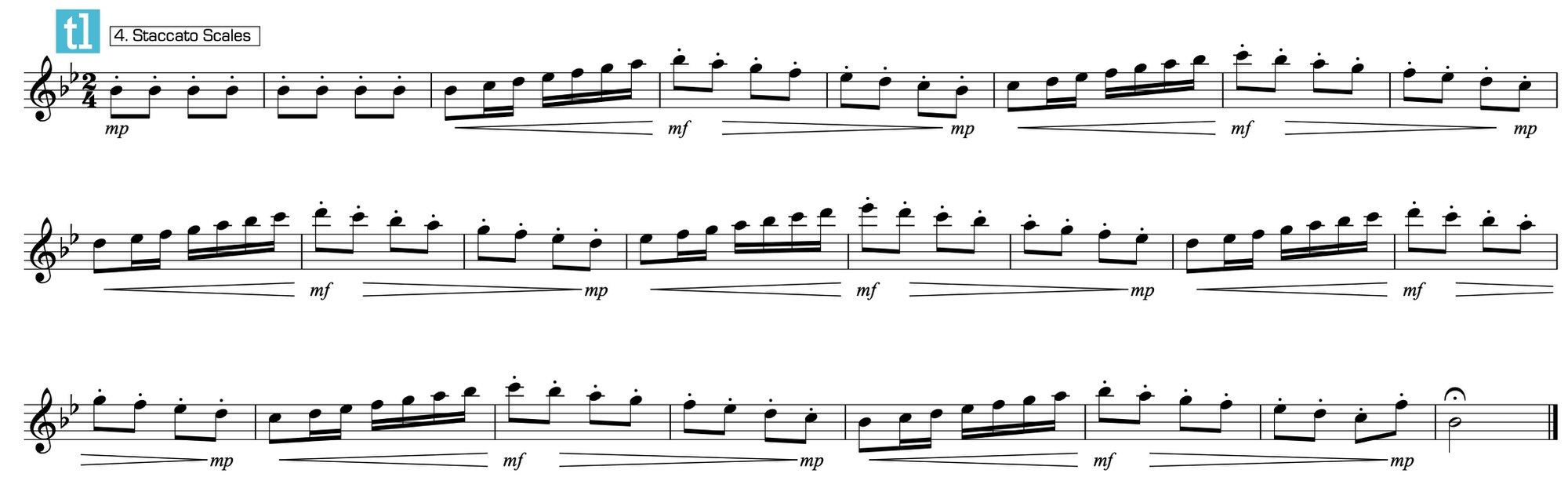 Flute Warm Ups: Elevate Your Performance With These Melodic Exercises ...