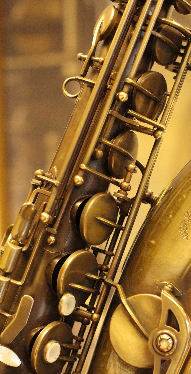 The Complete Alto Sax Fingering Chart | Ted's List