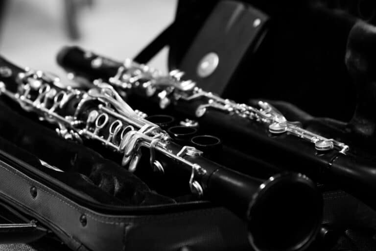How To Clean A Clarinet In 6 Easy Steps | Ted's List