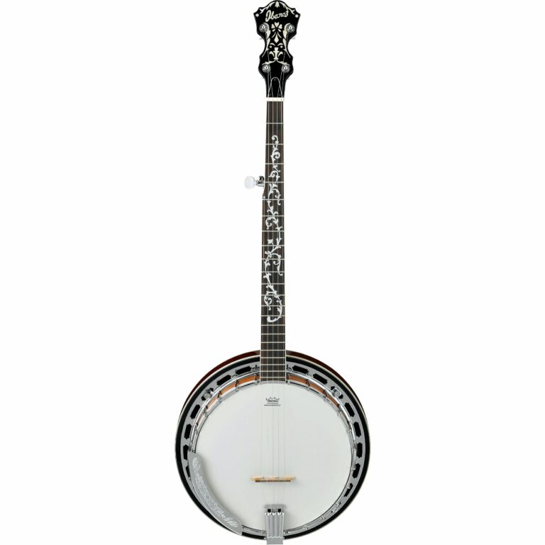 Best Brand Of Banjo: Your Ultimate Guide To Top Picks For 2025! | Ted's ...