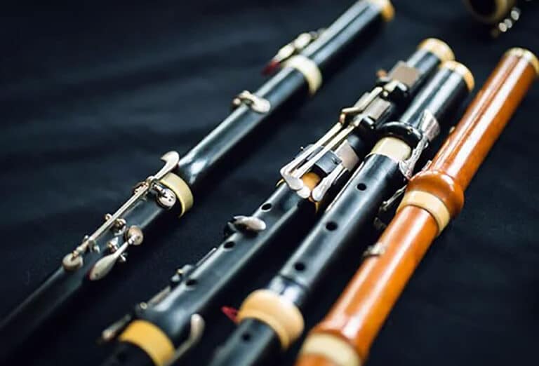 A Complete List Of Woodwind Instruments In The Orchestra | Ted's List