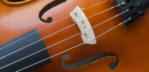 The Complete Violin String Chart | Ted's List