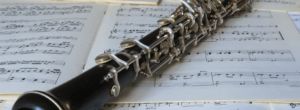 Types Of Oboes: Exploring The Various Styles And Sounds | Ted's List