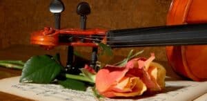 The Complete Violin String Chart | Ted's List