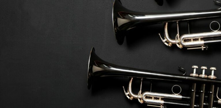 What Type Of Trumpet Should A Beginner Start With? A Guide To Your ...