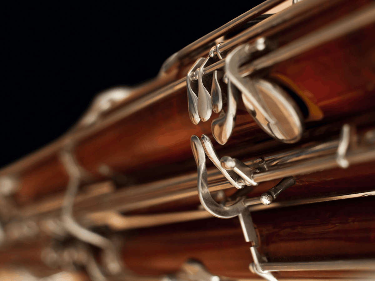 A Complete List Of Woodwind Instruments In The Orchestra | Ted's List