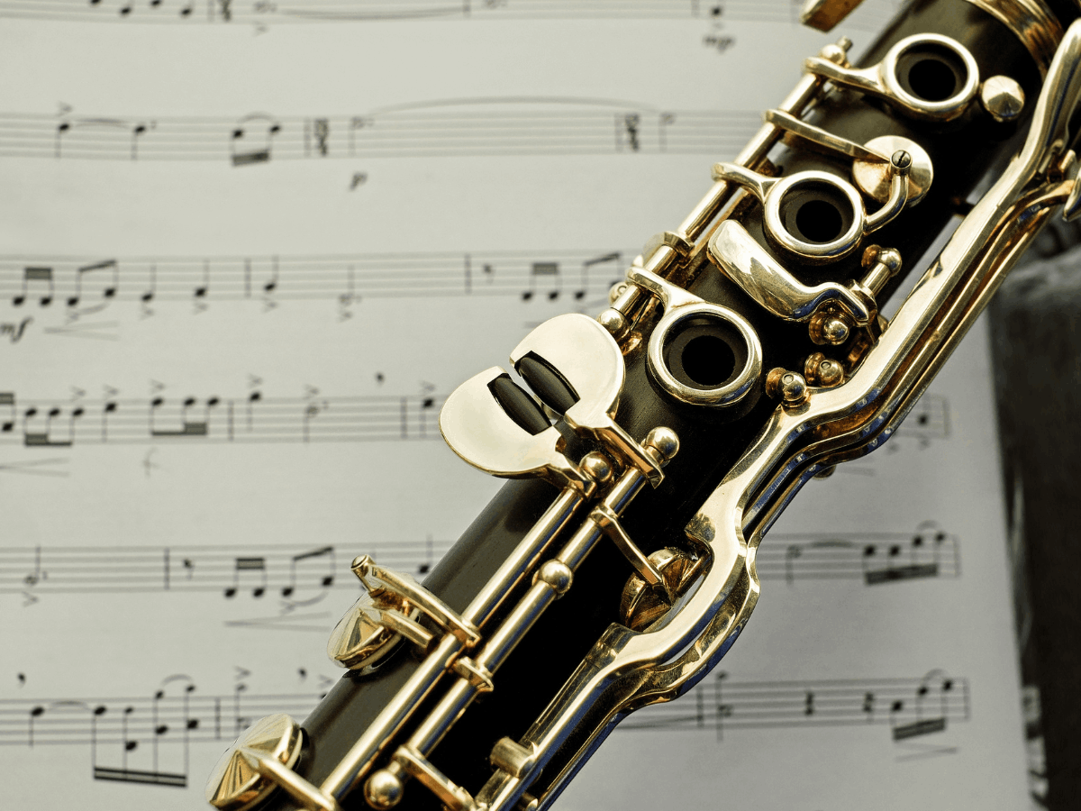A Complete List Of Woodwind Instruments In The Orchestra | Ted's List